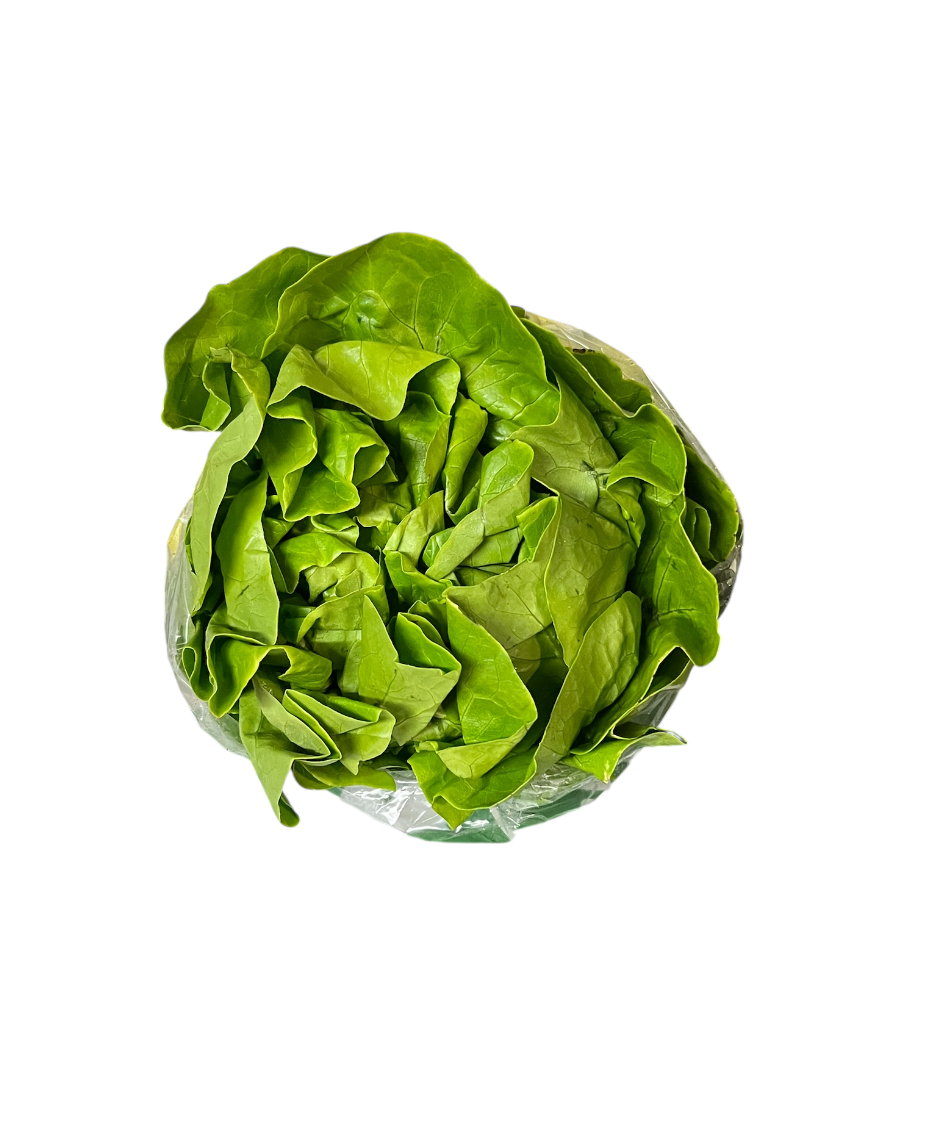 Round Flat Lettuce - Nottingham, Derby & Leicester