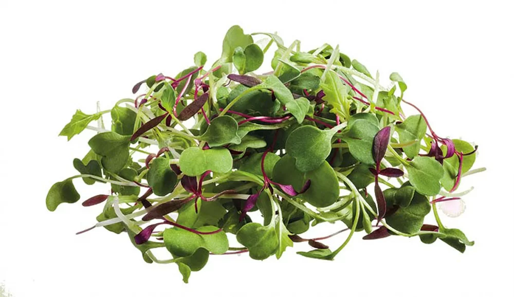 Micro Leaves (500g) - Kerry's Fresh