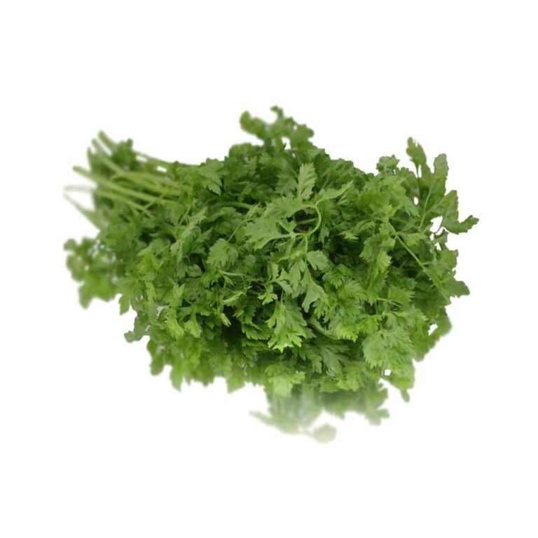 Chervil (100g) - Nottingham, Derby & Leicester