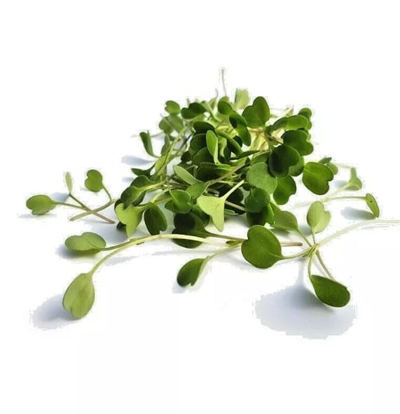 Micro Rocket - Kerry's Fresh